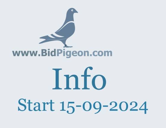 Auctions - Bid Pigeon